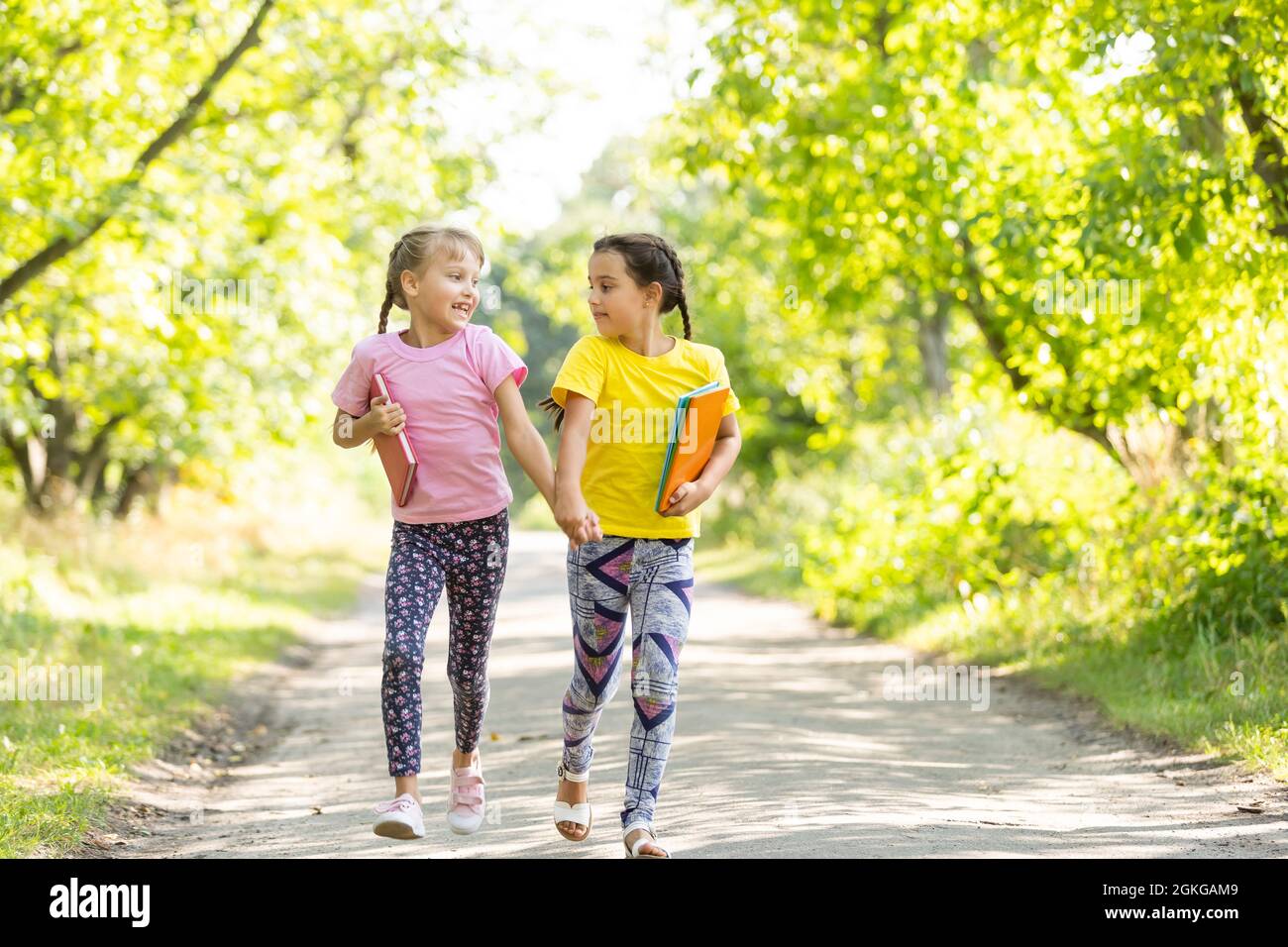 Two happy girls walking and talking each other in a campus Stock Photo ...