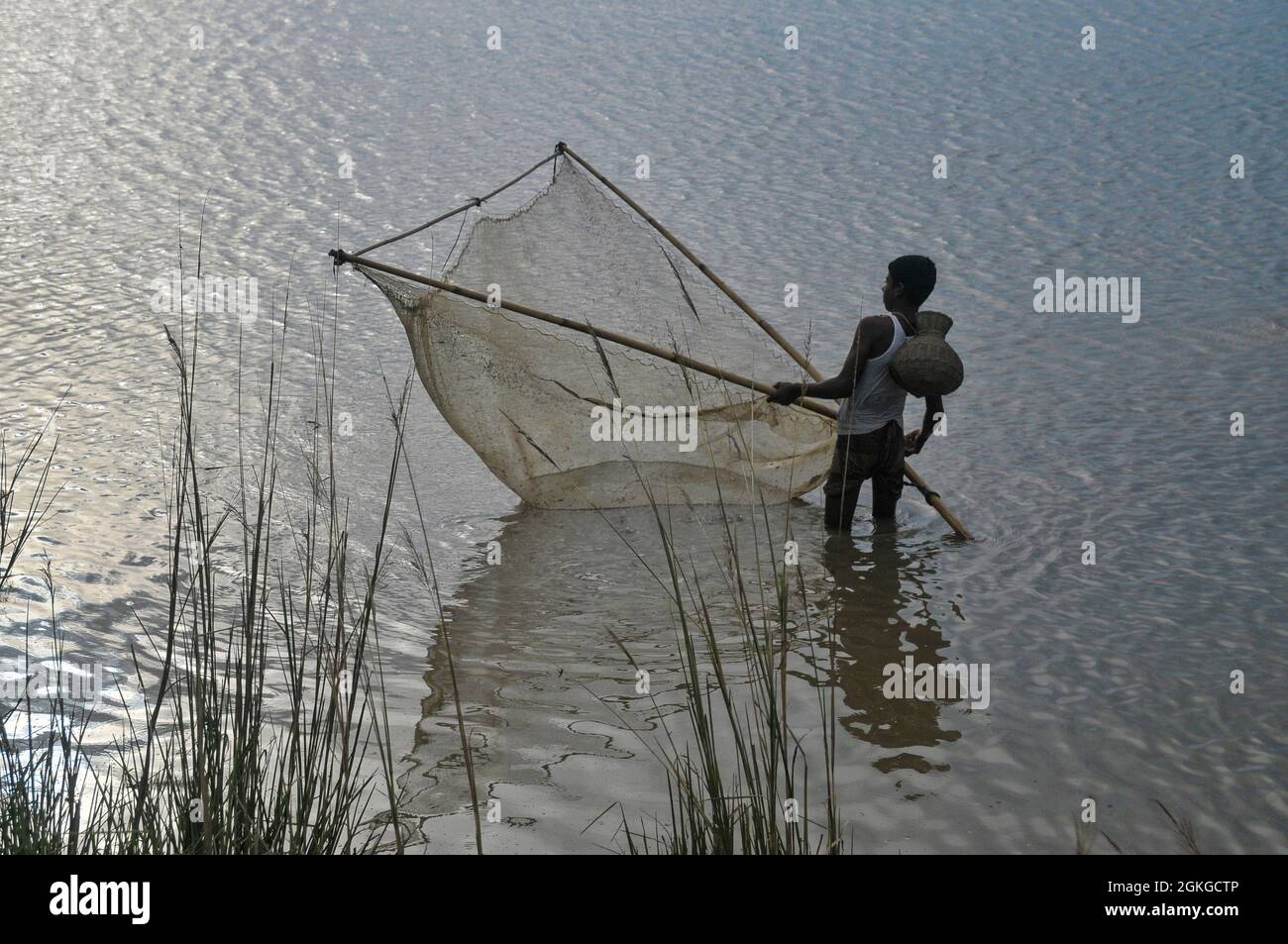Rural boys are catching fish with a traditional hand made net in a ...