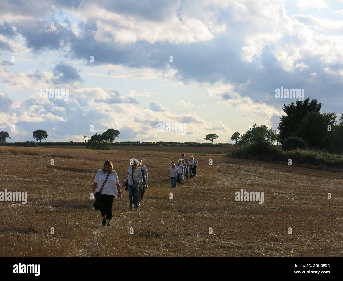 A group of ramblers in single file on the footpath crossing a field on ...