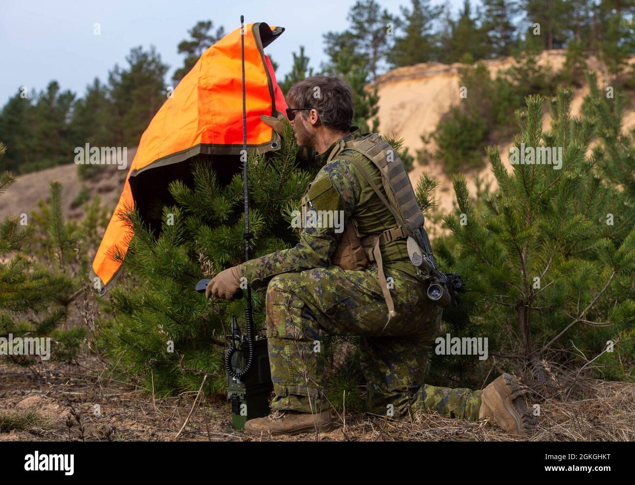 A Canadian Land forces soldier from the Royal Canadian Dragoons, 2nd ...