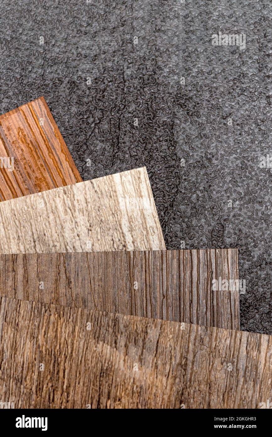 PVC vinyl floor. Samples of vinyl flooring. Collection of vinyl tiles ...