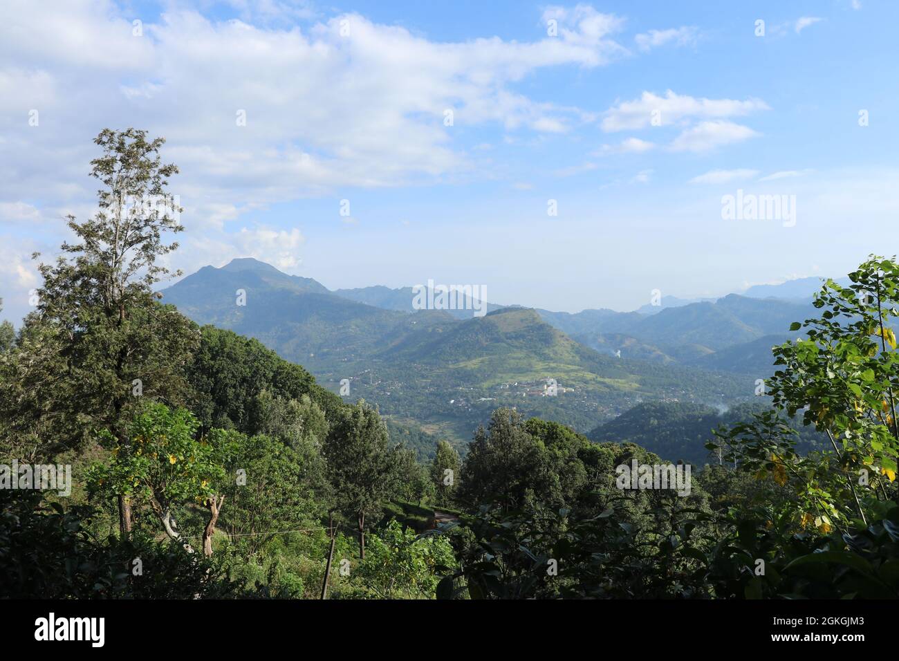 A beautiful landscape in the upcountry with mountains and trees in Sri ...