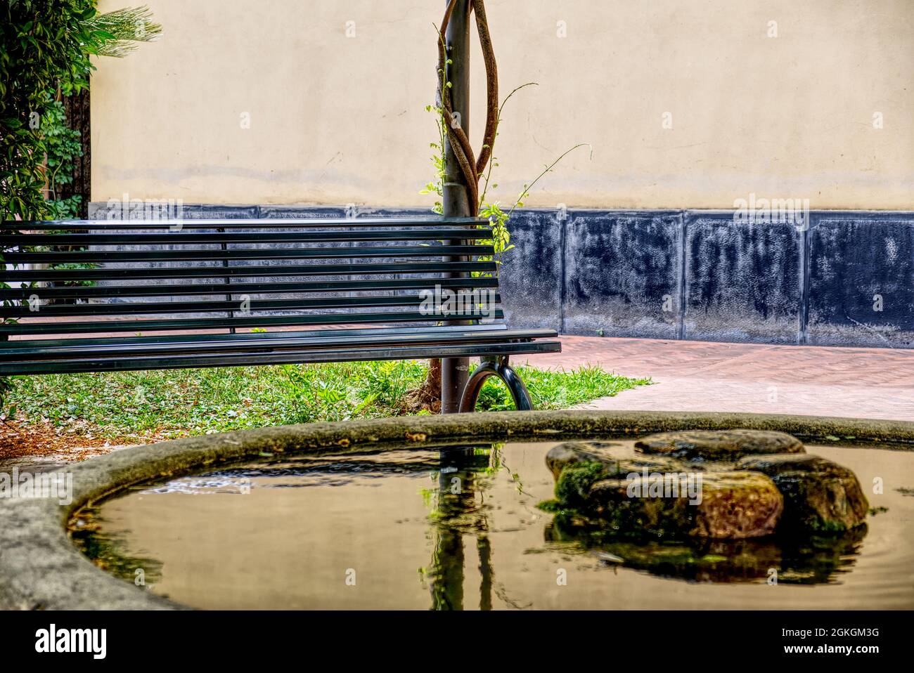 a bench in a public park in front of a goldfish pond Stock Photo - Alamy