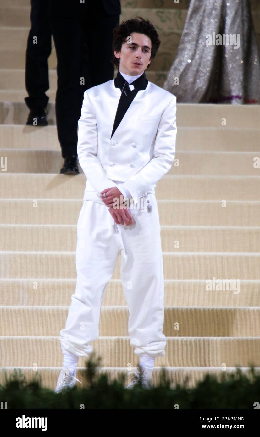 Timothee chalamet met gala hi-res stock photography and images - Alamy