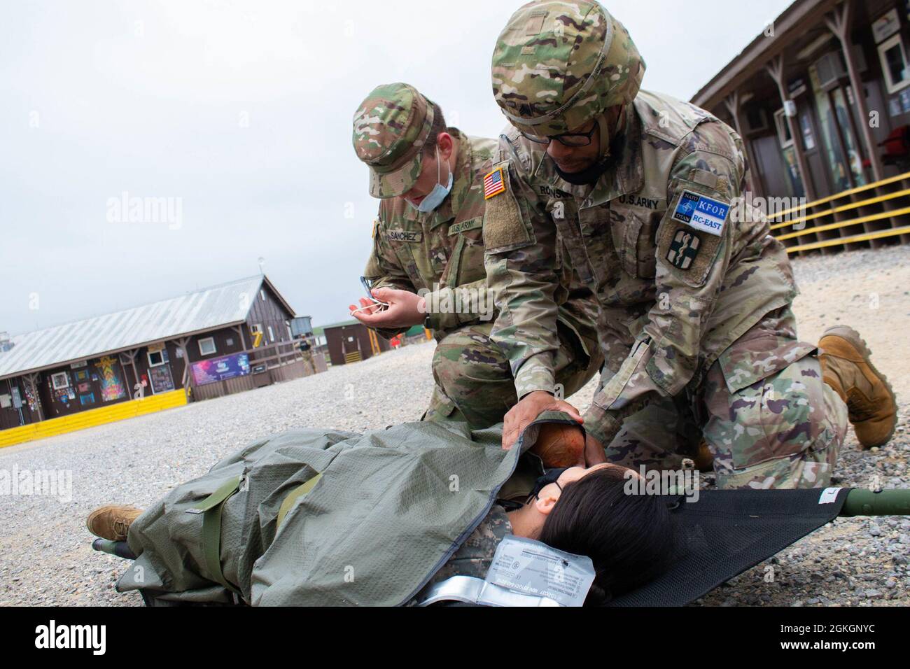 Veterinary food inspection hi-res stock photography and images - Alamy