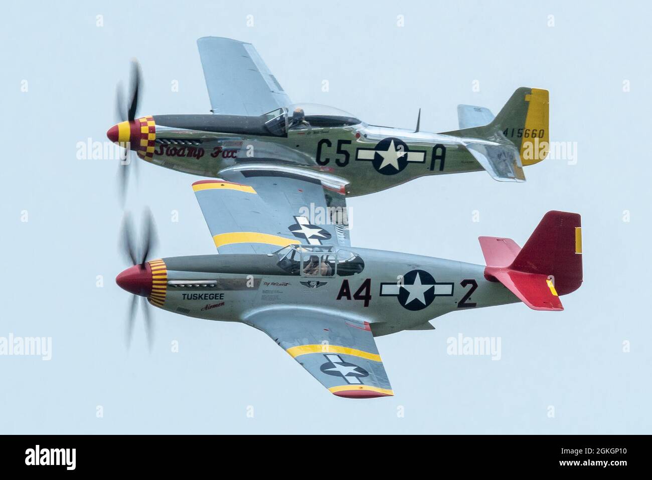 Swamp fox ii hi-res stock photography and images - Alamy