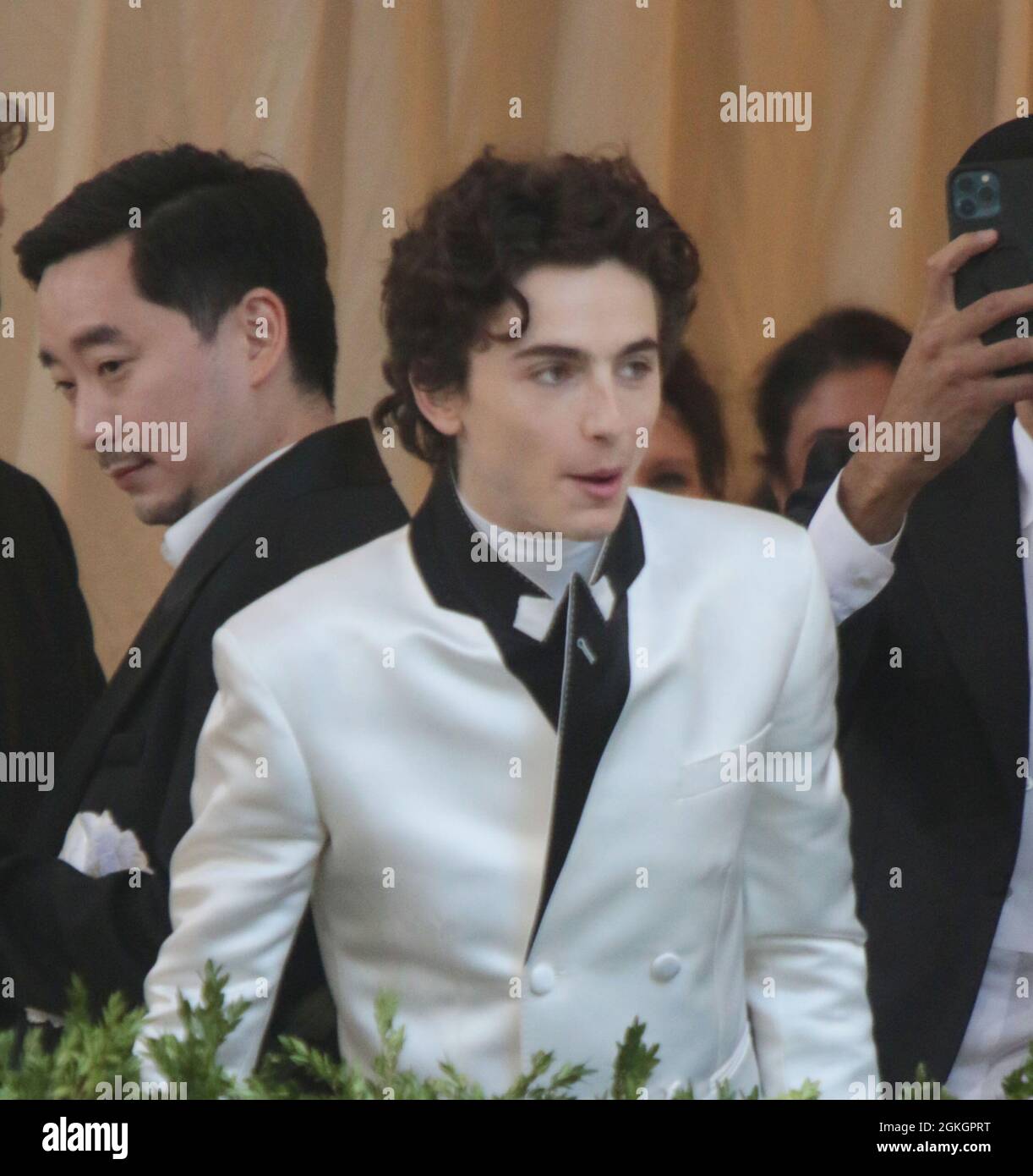 Timothee chalamet met gala hi-res stock photography and images - Alamy