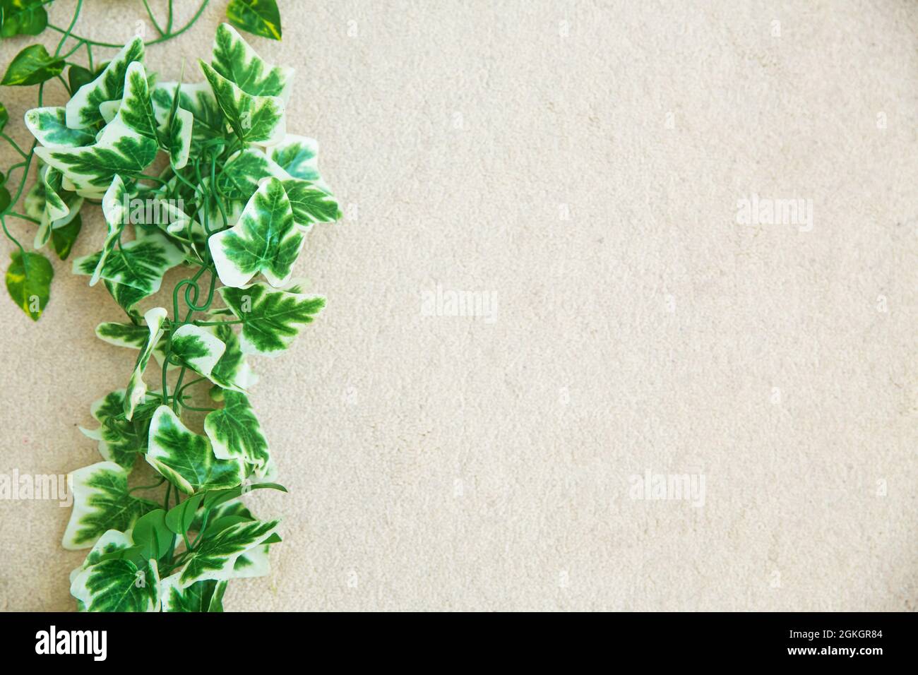 Green leaves over white wall background. With area for copy space, text ...