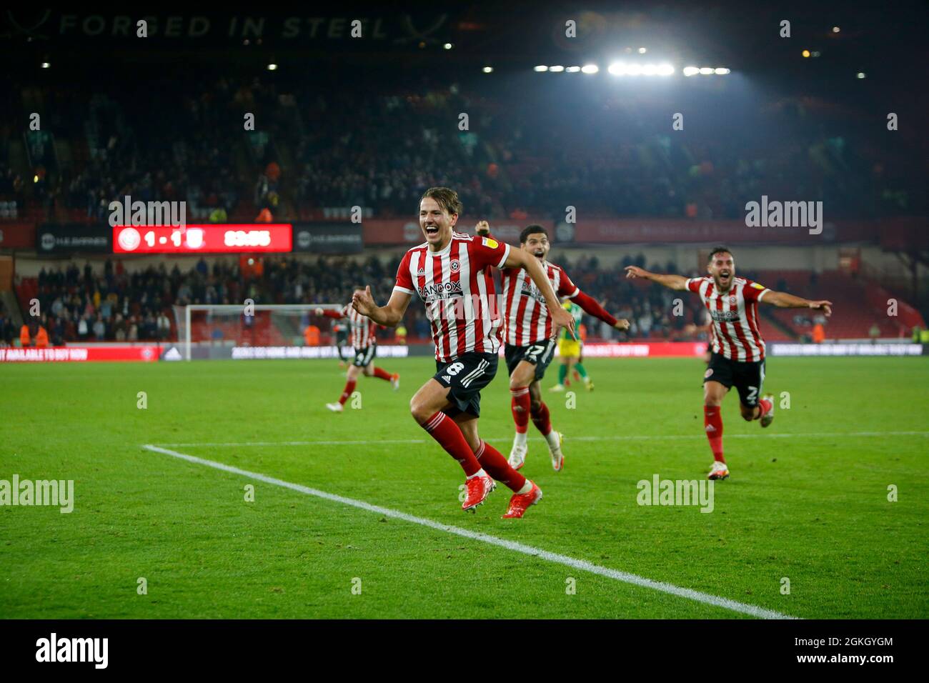 Sander Berge #8 of Sheffield United Celebrates scoring a goal to make ...