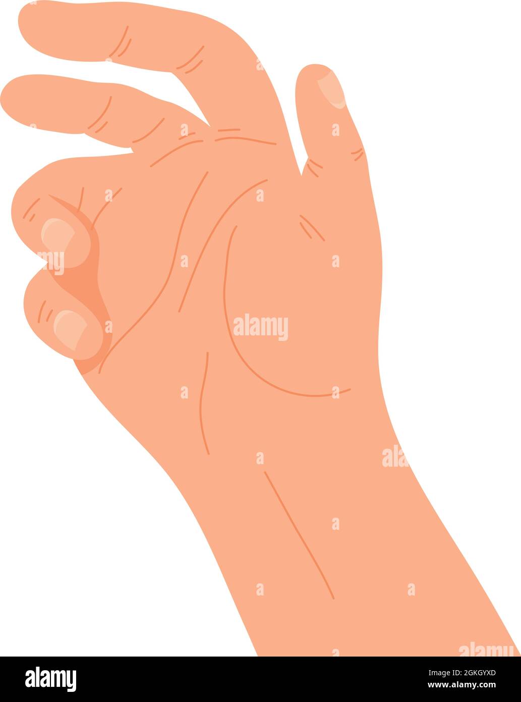 human hand on white background Stock Vector Image & Art - Alamy