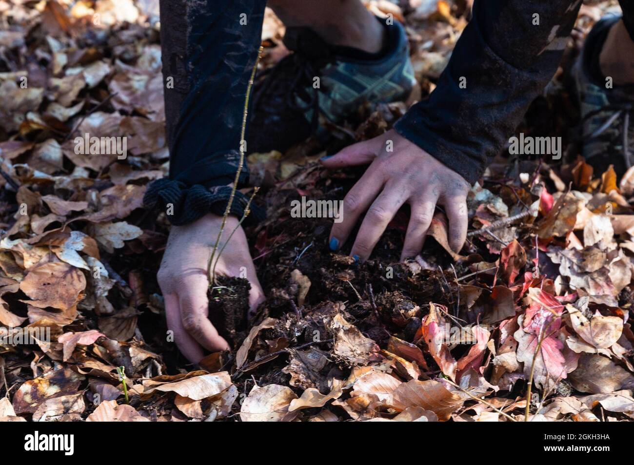 U.S. Air Force Staff Sgt. Jaden Krolikowski, 86th Security Forces ...
