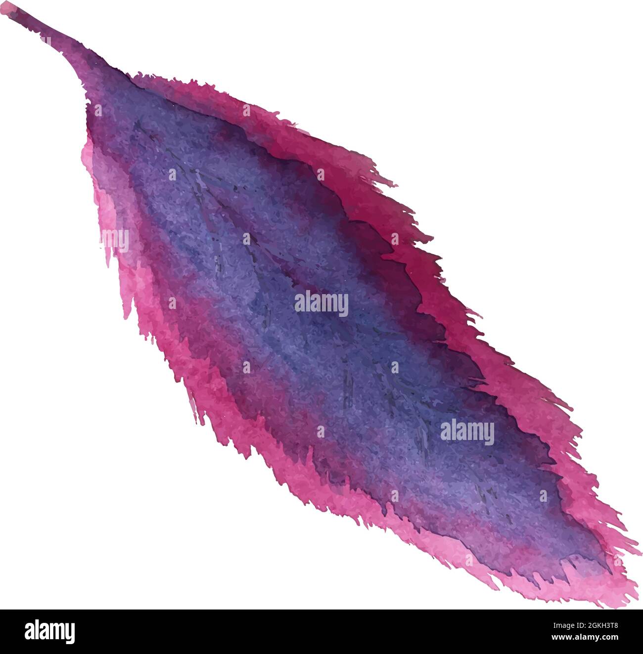 Watercolor feather element. Isolated on white background vector ...