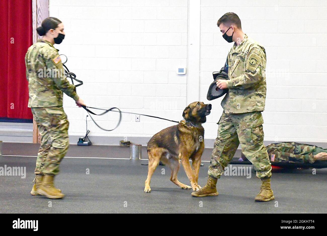 Spc. Monica Wilson (left) holds the leash of military working dog, Ben ...