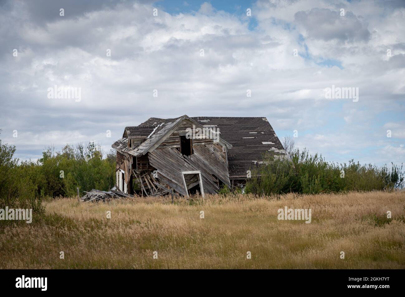 Horizontal shot of an old destroyed wooden home on a straw sunny field ...