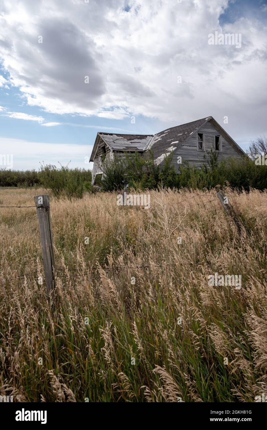 Vertical shot of an old destroyed wooden home on a straw sunny field ...