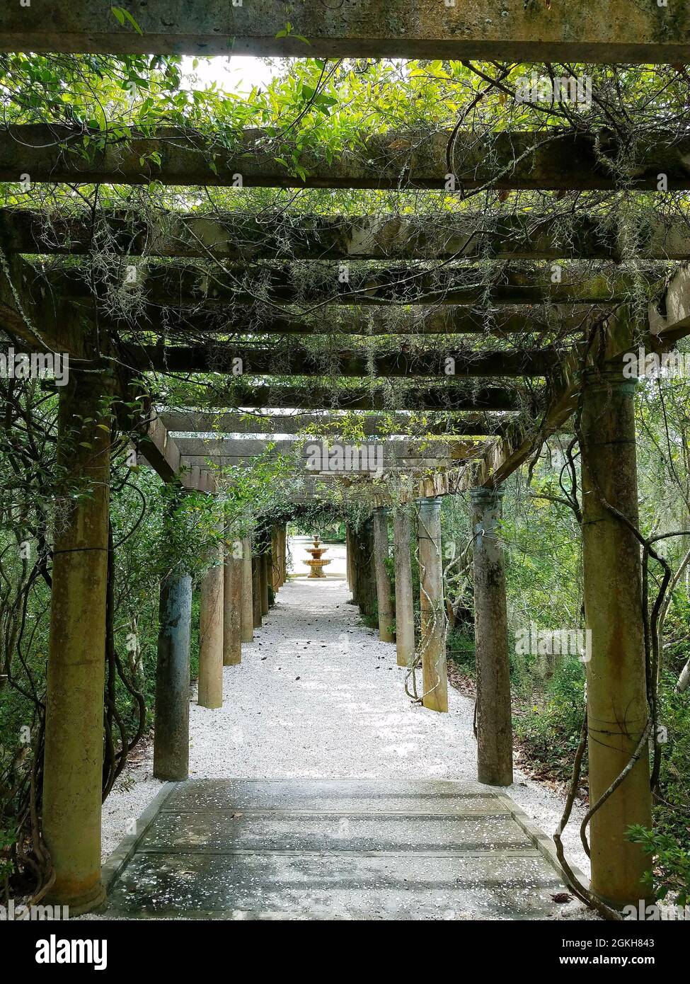 Arches of branches and leaves hi-res stock photography and images - Alamy