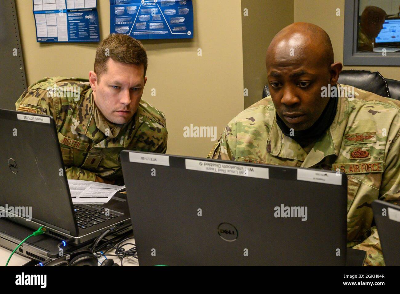 Cos cell hi-res stock photography and images - Alamy