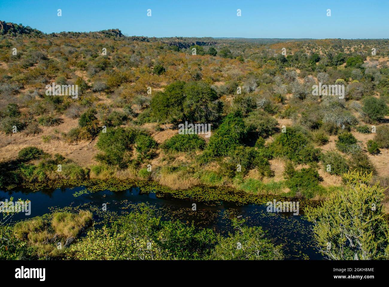 African savanna environment, Kruger National Park , South Africa Stock ...