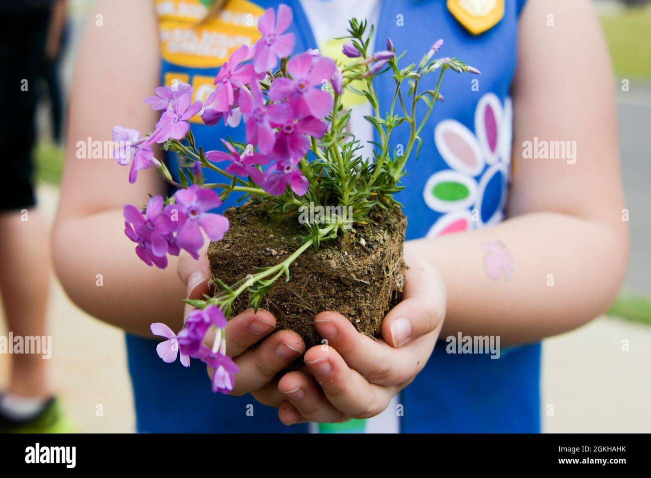 A Girl Scout holds flowers before planting it at Osan Air Base ...