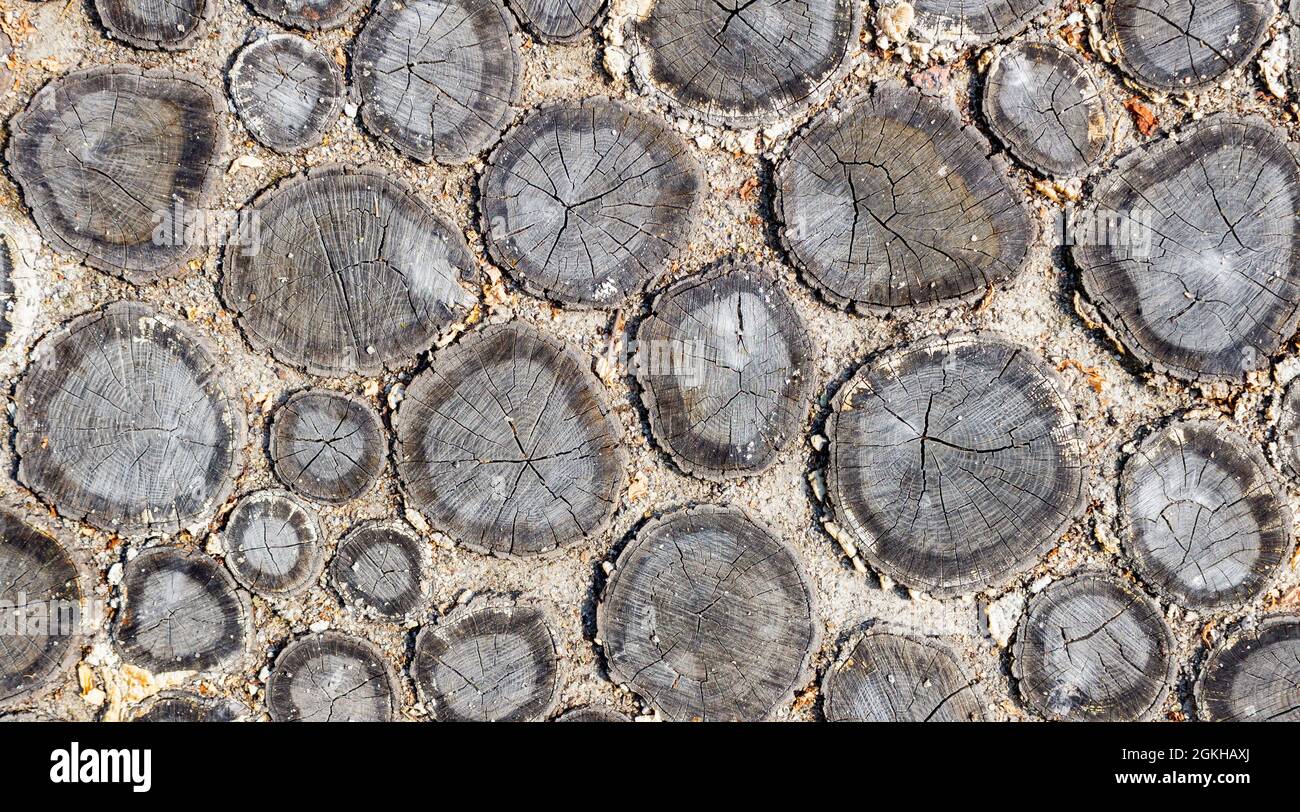 Backdrop photo texture of old and stained wood log tiled ground Stock ...