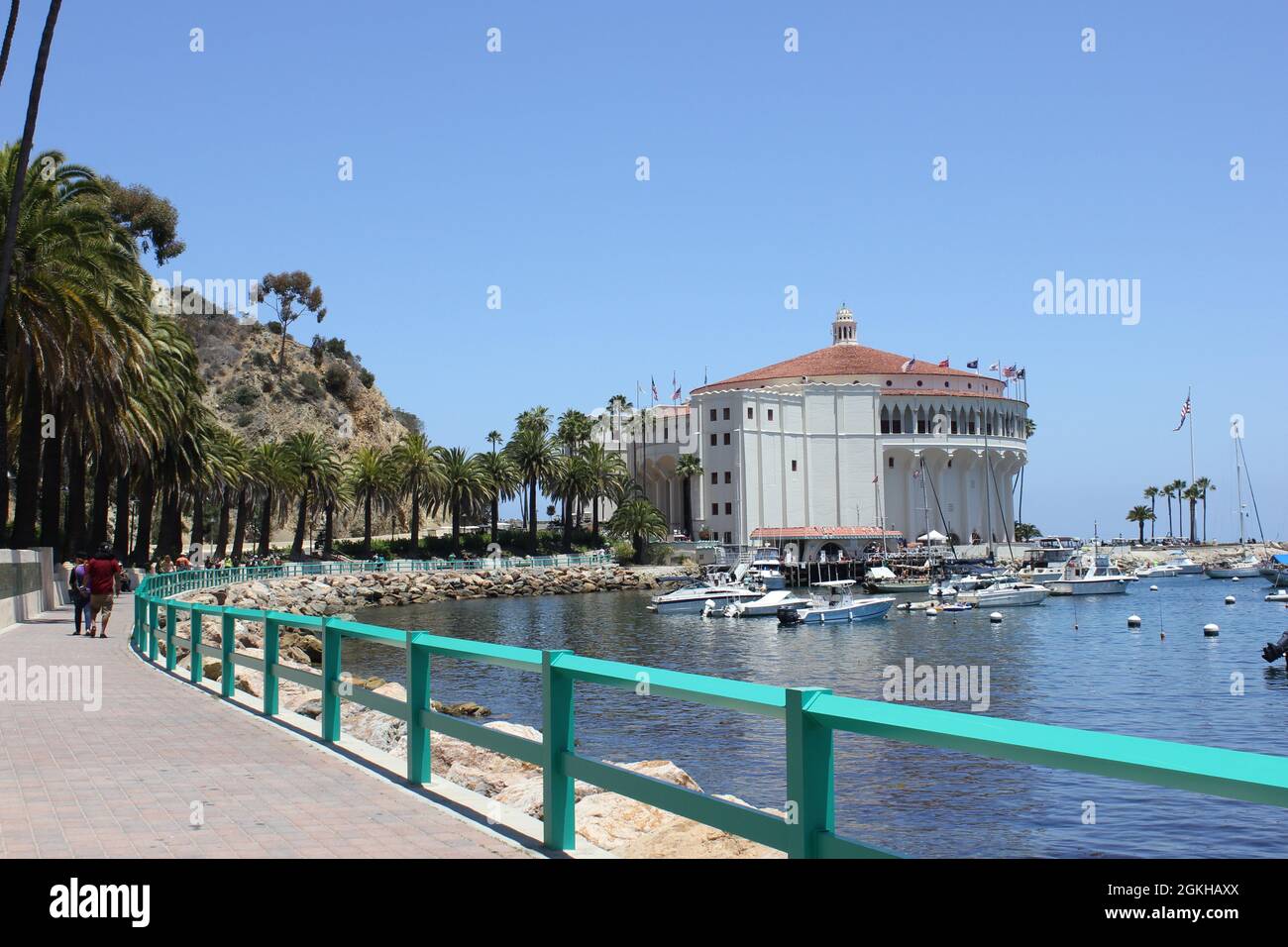 Santa Catalina Island, California Stock Photo - Alamy