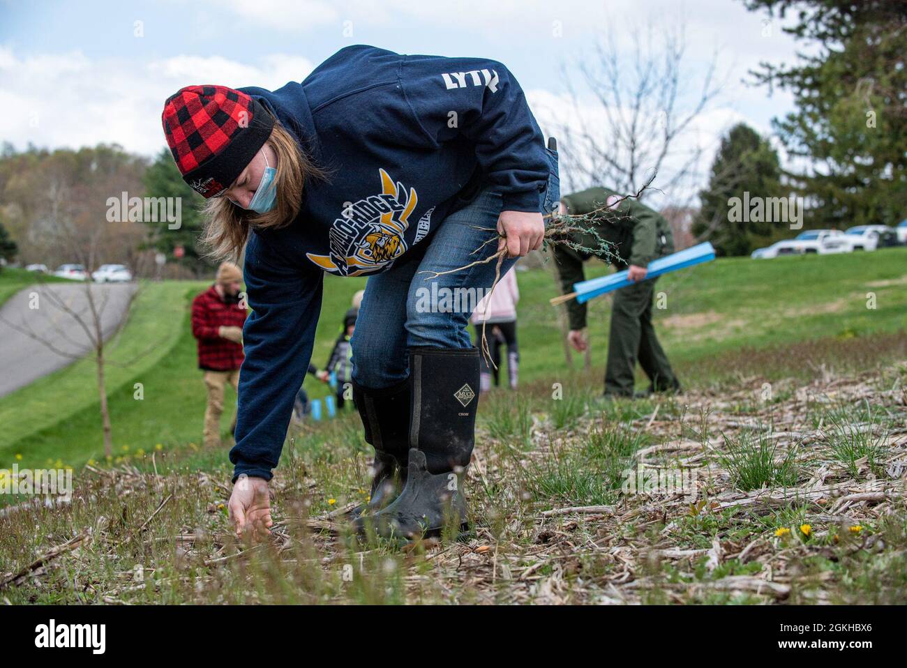 Park rangers and volunteers work together to plant tree saplings during ...