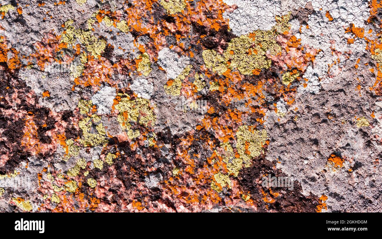 Backdrop texture photo of stone in yellow, orange and red colored mold ...