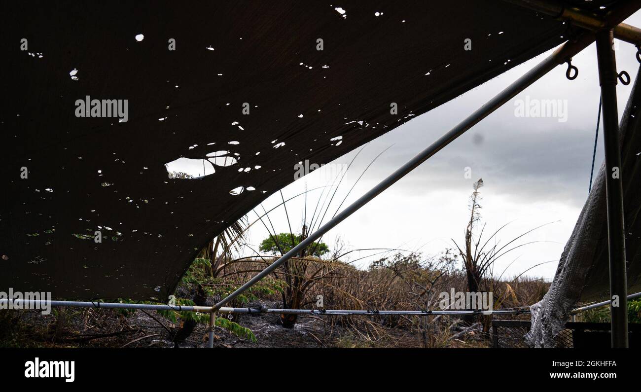 Damage of a canopy is shown after a wildland fire was extinguished on a ...