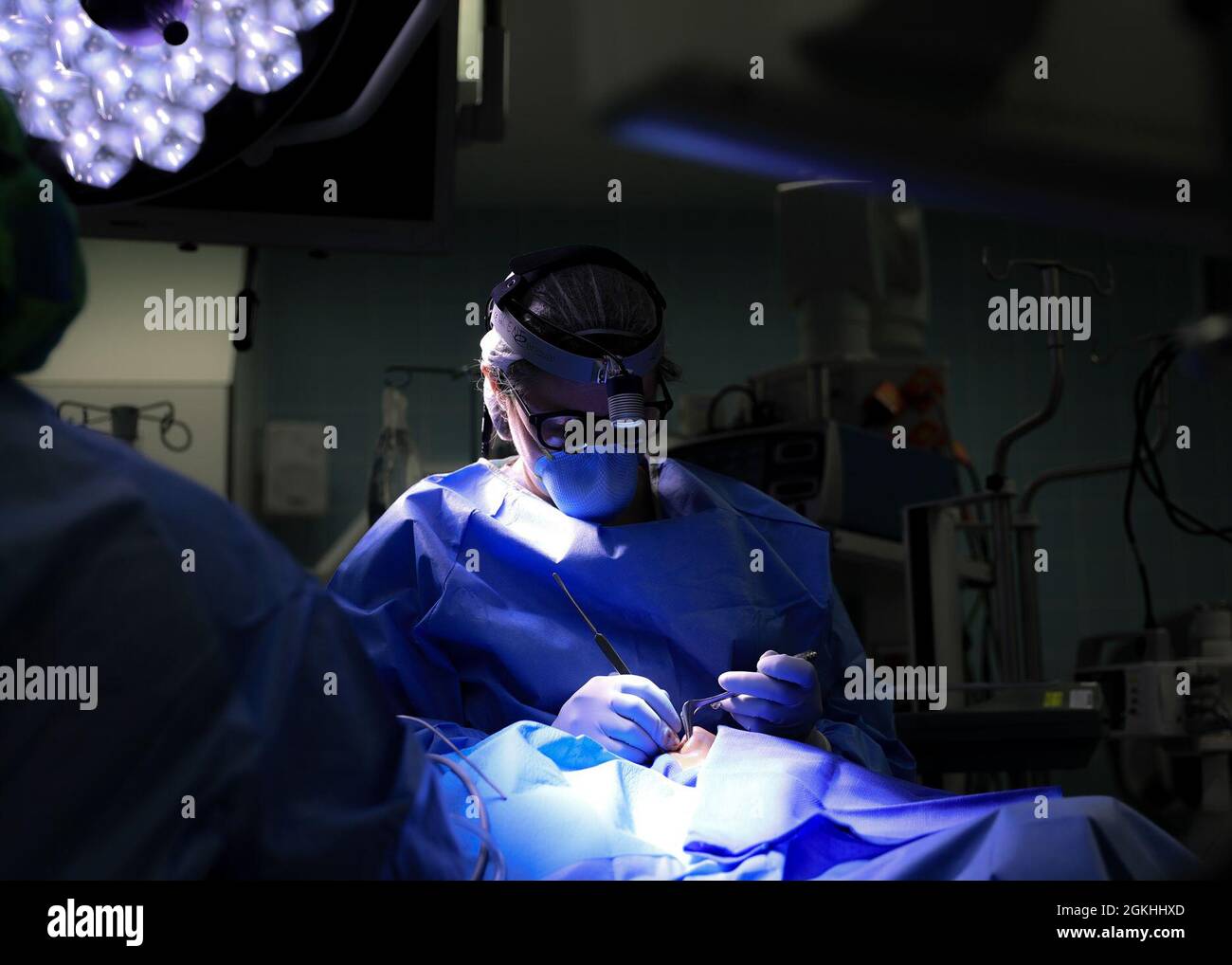 U.S. Army Lt. Col. Jessica Peck, chief, Ear, Nose and Throat Clinic ...