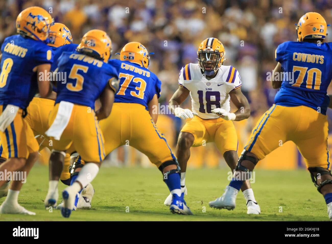 Lsu tigers hi-res stock photography and images - Alamy