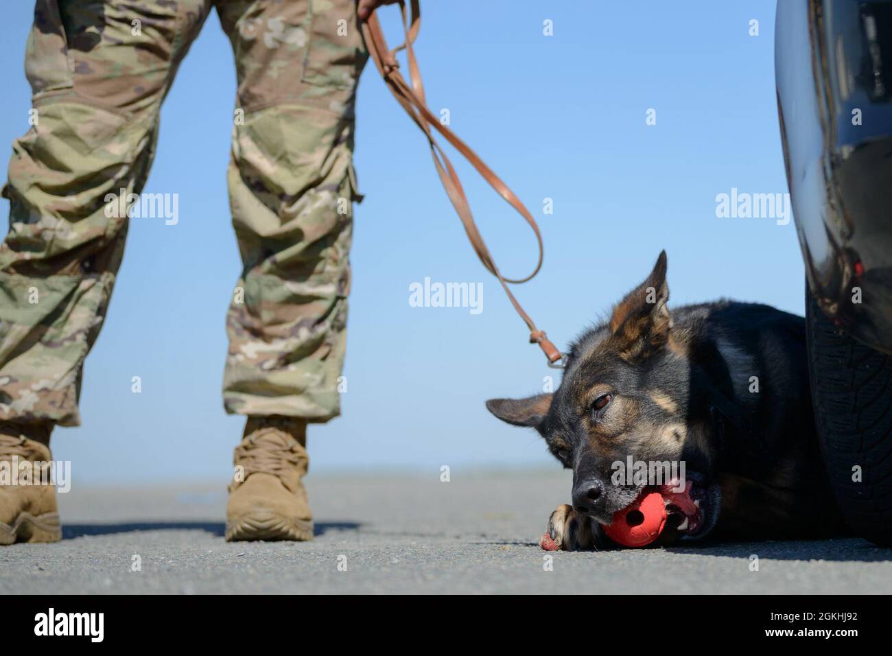 Yoda toy hi-res stock photography and images - Alamy