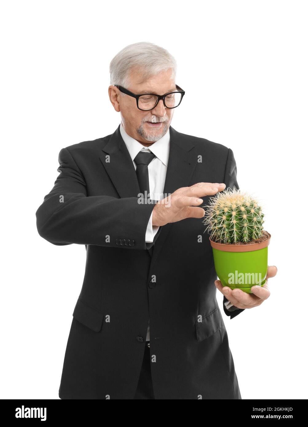 Elderly man with cactus on white background Stock Photo - Alamy
