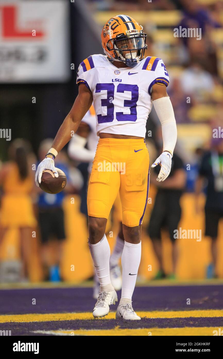 LSU Tigers wide receiver Trey Palmer (33) celebrates after making a ...