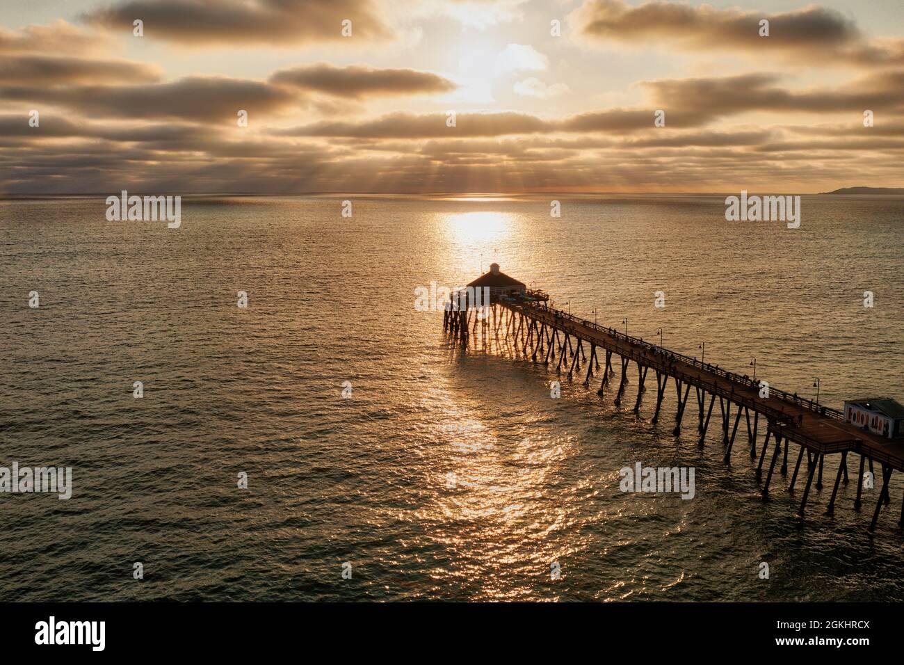 Golden rays fish hi-res stock photography and images - Alamy