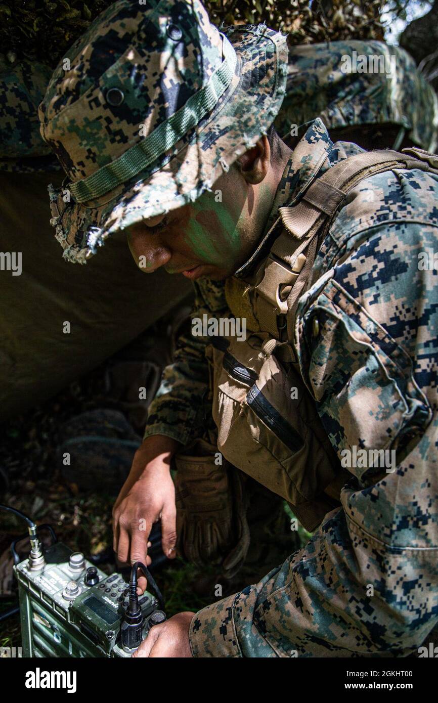 A U.S. Marine with Alpha Company, Infantry Training Battalion, School ...