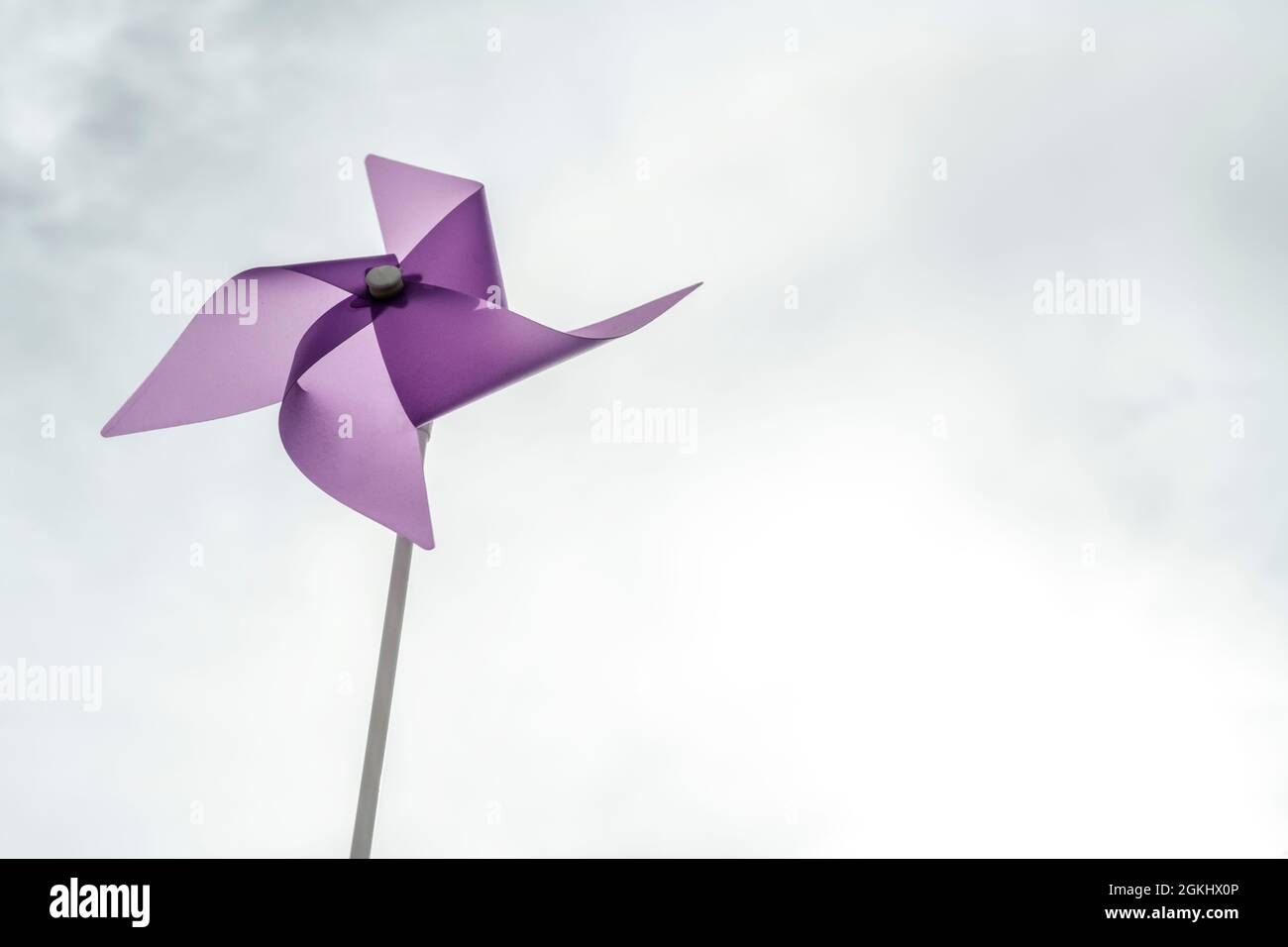 Image with a lot of empty space and purple pinwheel on the left with ...