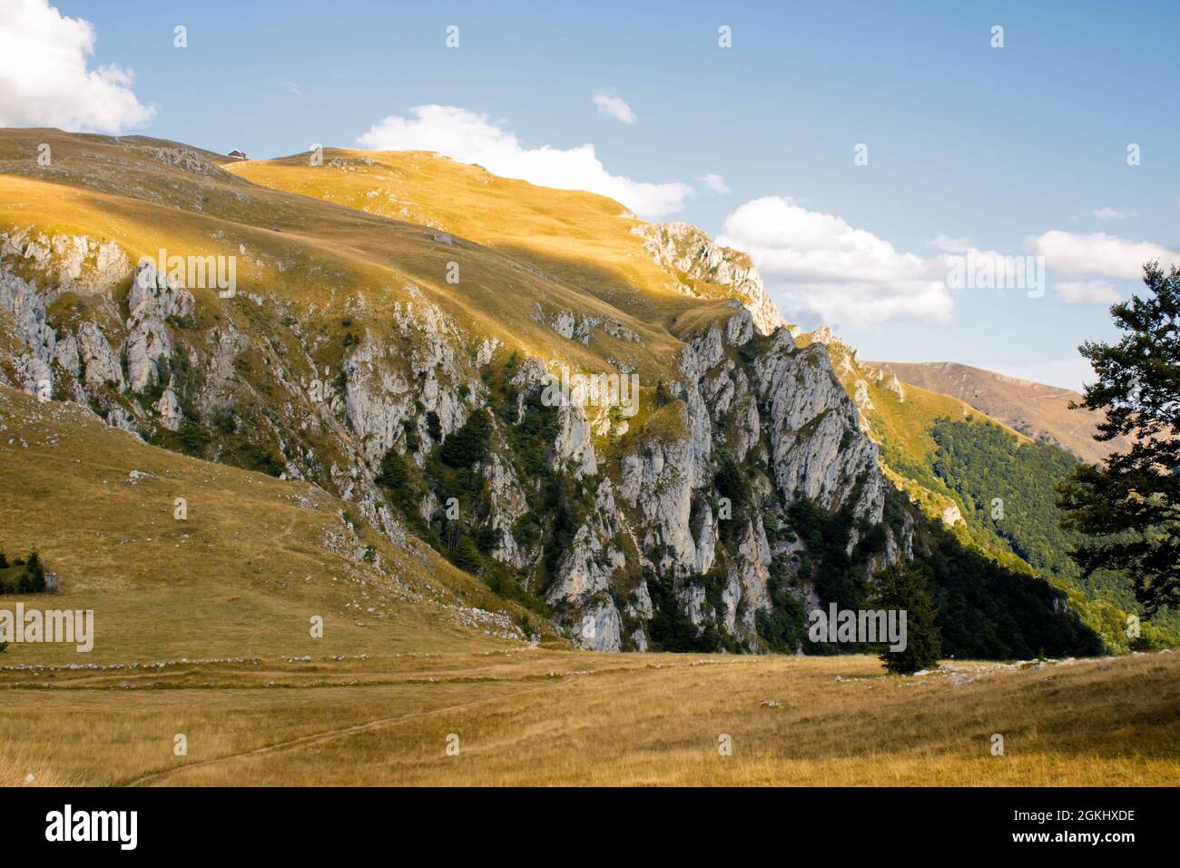 Cliff covered by yellow grass in the countryside under a bright sky on ...