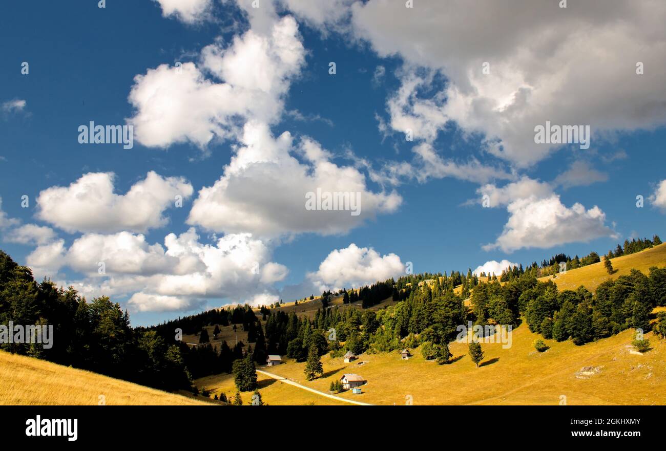 Beautiful shot of fluffy white cumulus clouds hanging over a vibrant ...