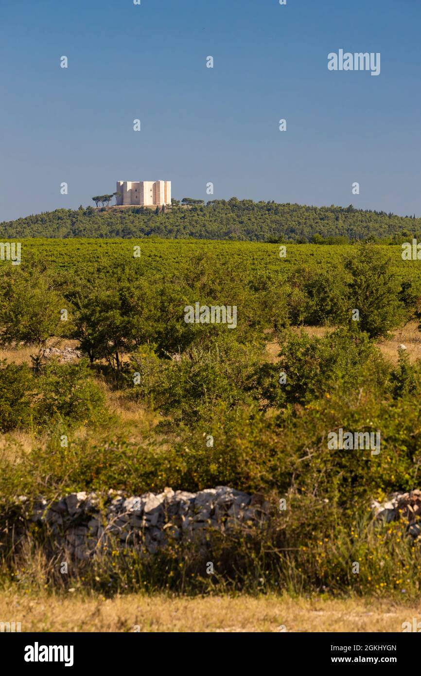 Castel del Monte, castle built in an octagonal shape by the Holy Roman ...