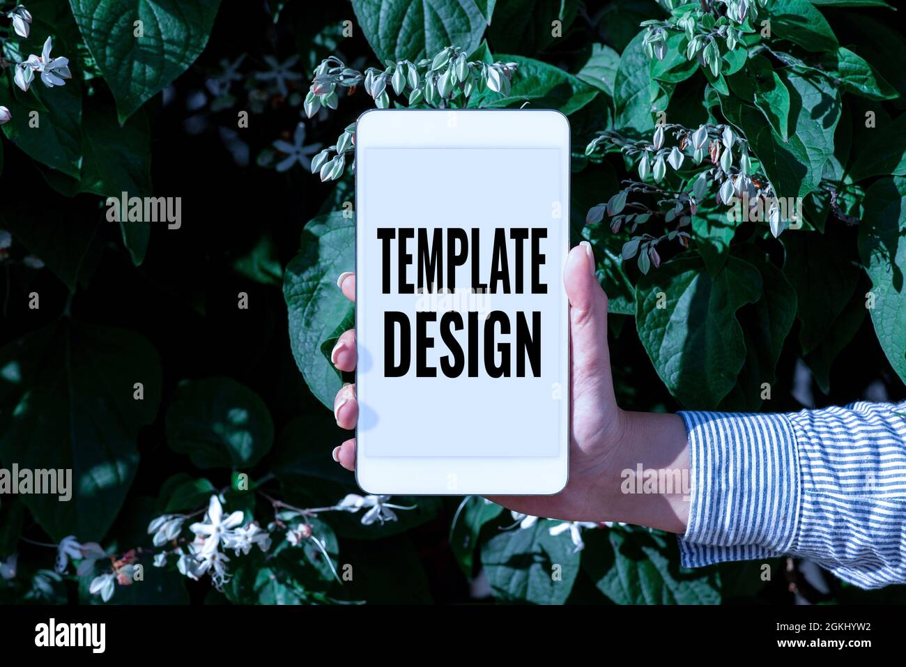 Conceptual caption Template Design. Conceptual photo an overall layout or blueprint with a ...