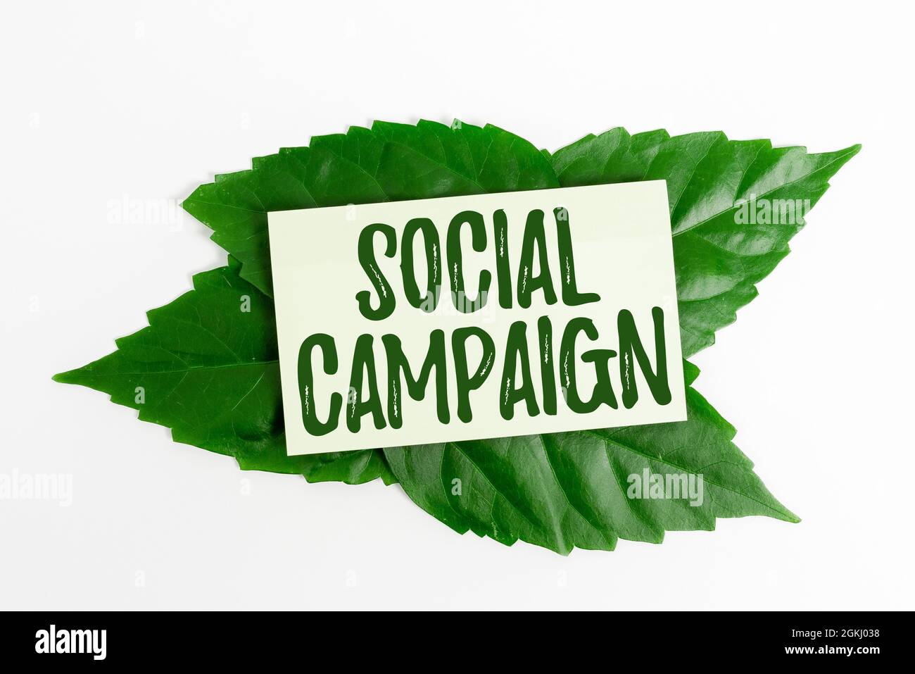 Writing displaying text Social Campaign. Conceptual photo use social ...