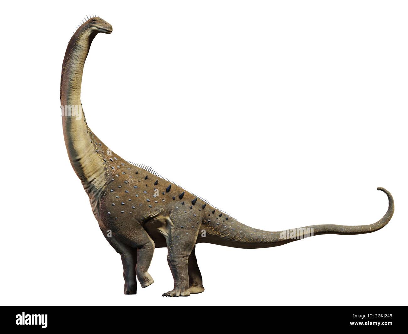 Alamosaurus hi-res stock photography and images - Alamy