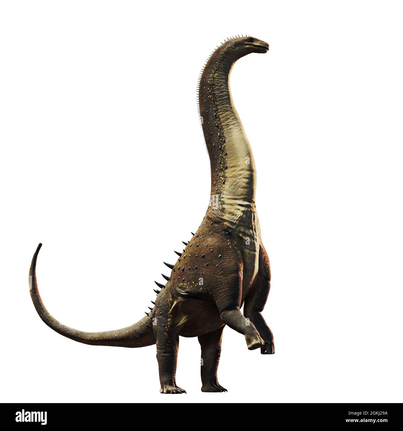 Titanosaurus Dinosaur