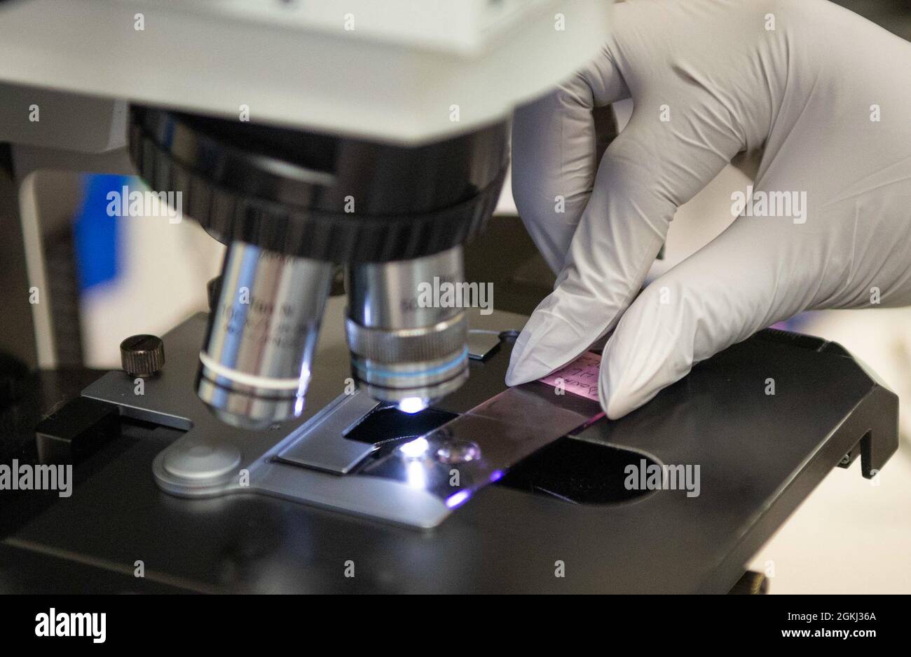 88 medical group hi-res stock photography and images - Alamy