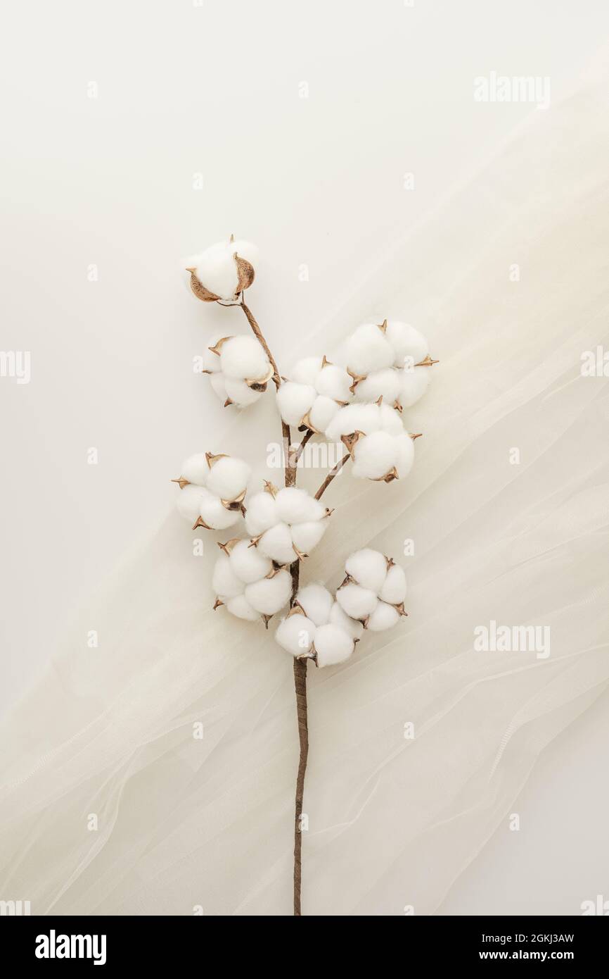 Rustic branch plant decoration hi-res stock photography and images - Alamy