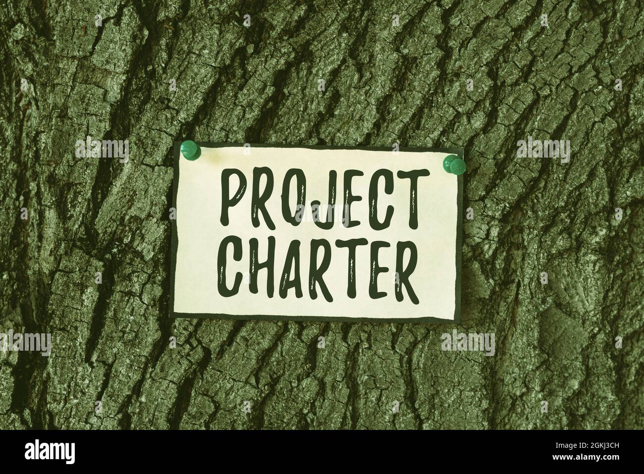Text sign showing Project Charter. Word Written on typically short ...