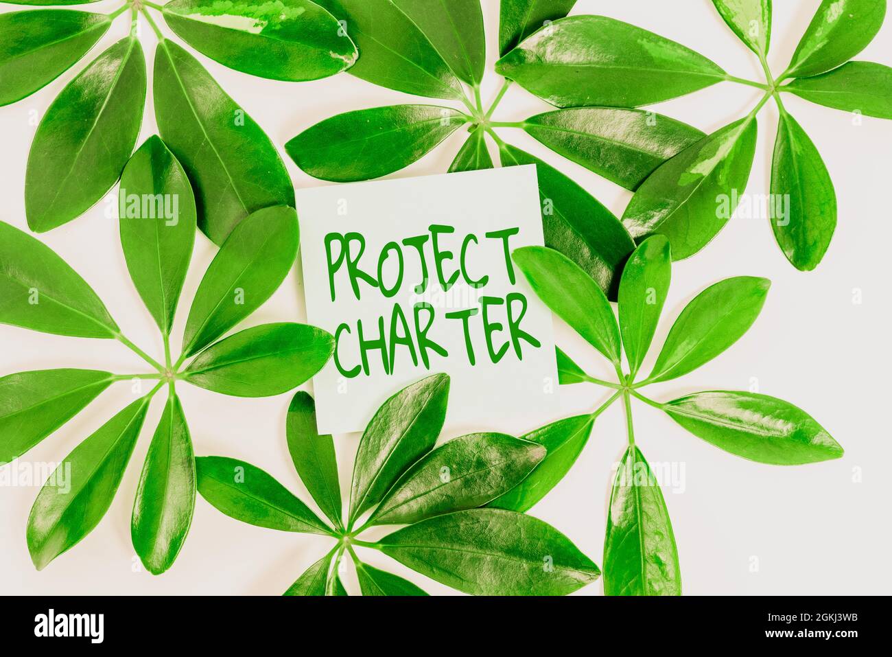 Conceptual caption Project Charter. Word for typically short formal ...