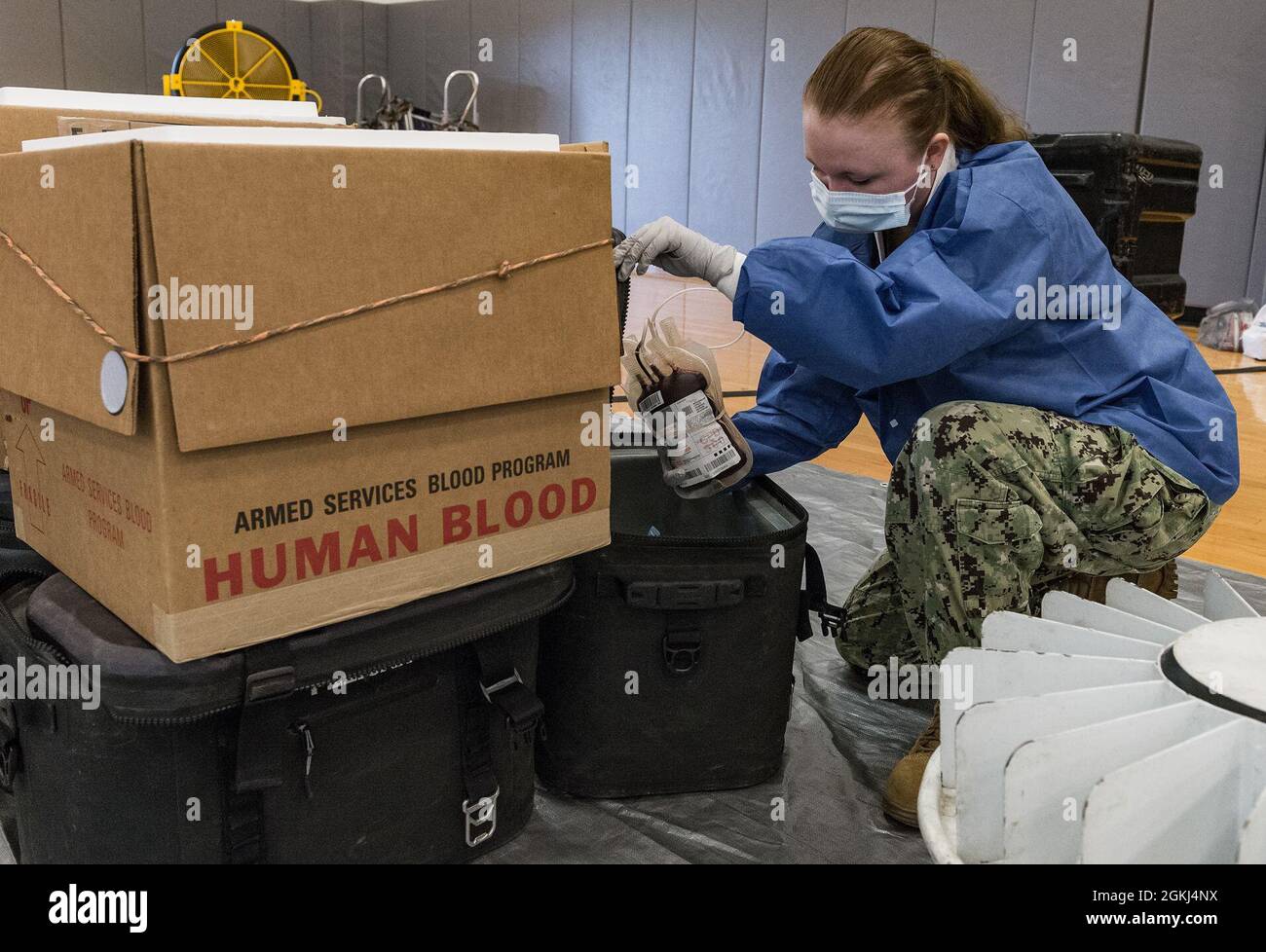 U s navy blood program hi-res stock photography and images - Alamy