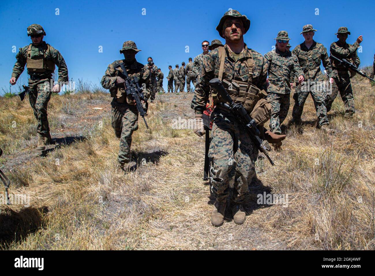 U.S. Marines with Alpha Company, Infantry Training Battalion, School of ...