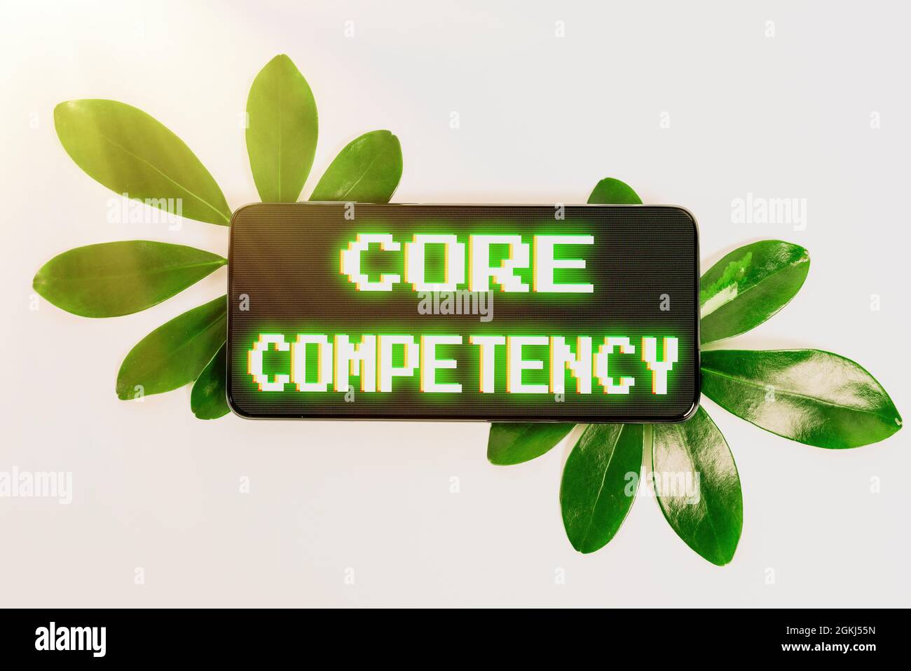 Text sign showing Core Competency. Concept meaning harmonized ...